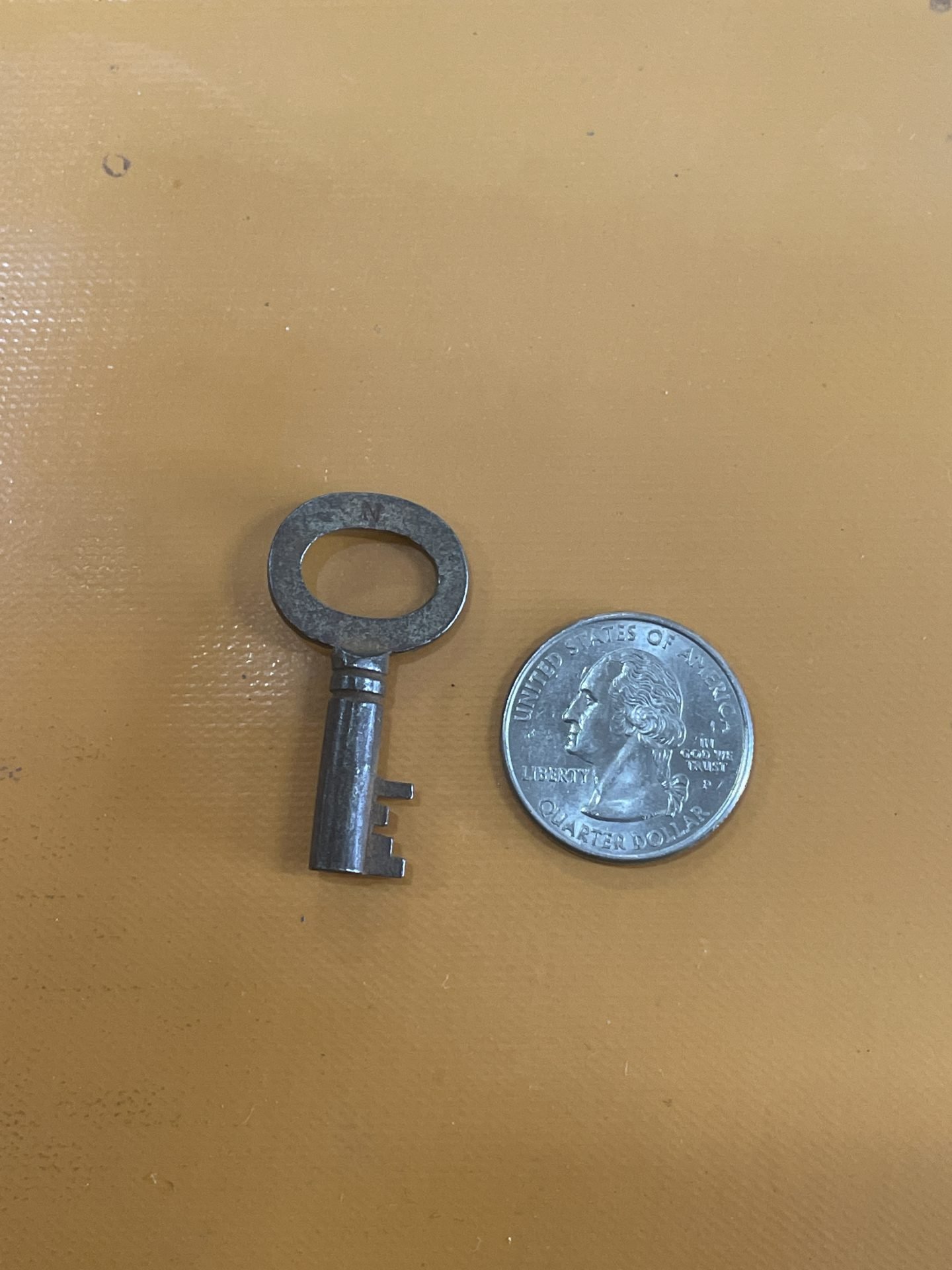 Skeleton Key | Picker Place