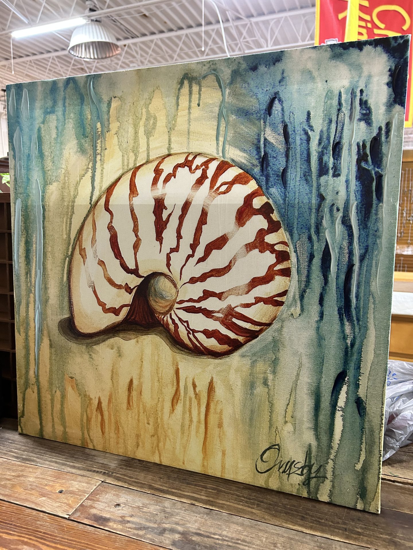 Nautilus Shell Canvas - Picker Place