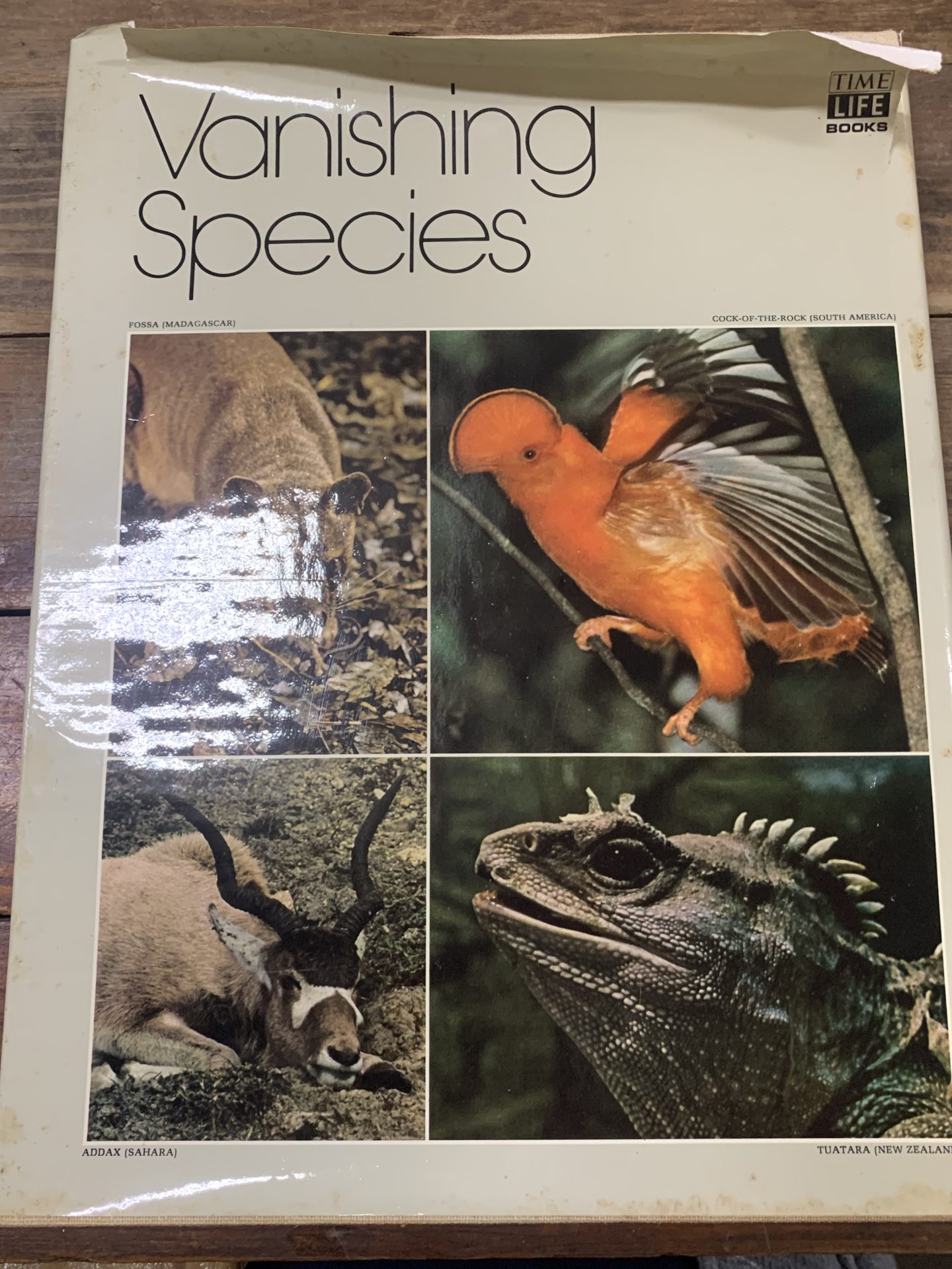 Vanishing Species - Picker Place