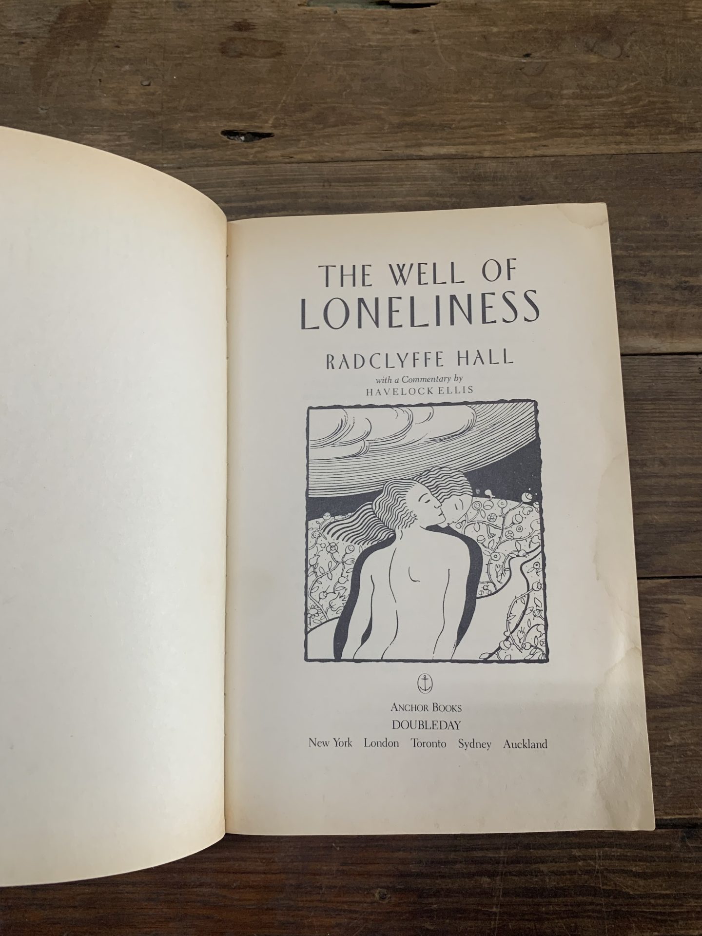 The Well of Loneliness - Picker Place