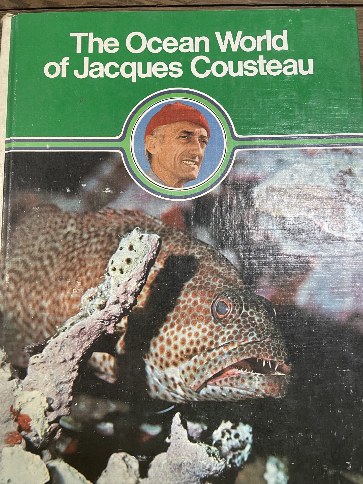 The Ocean World of Jacques Cousteau 3 - Picker Place