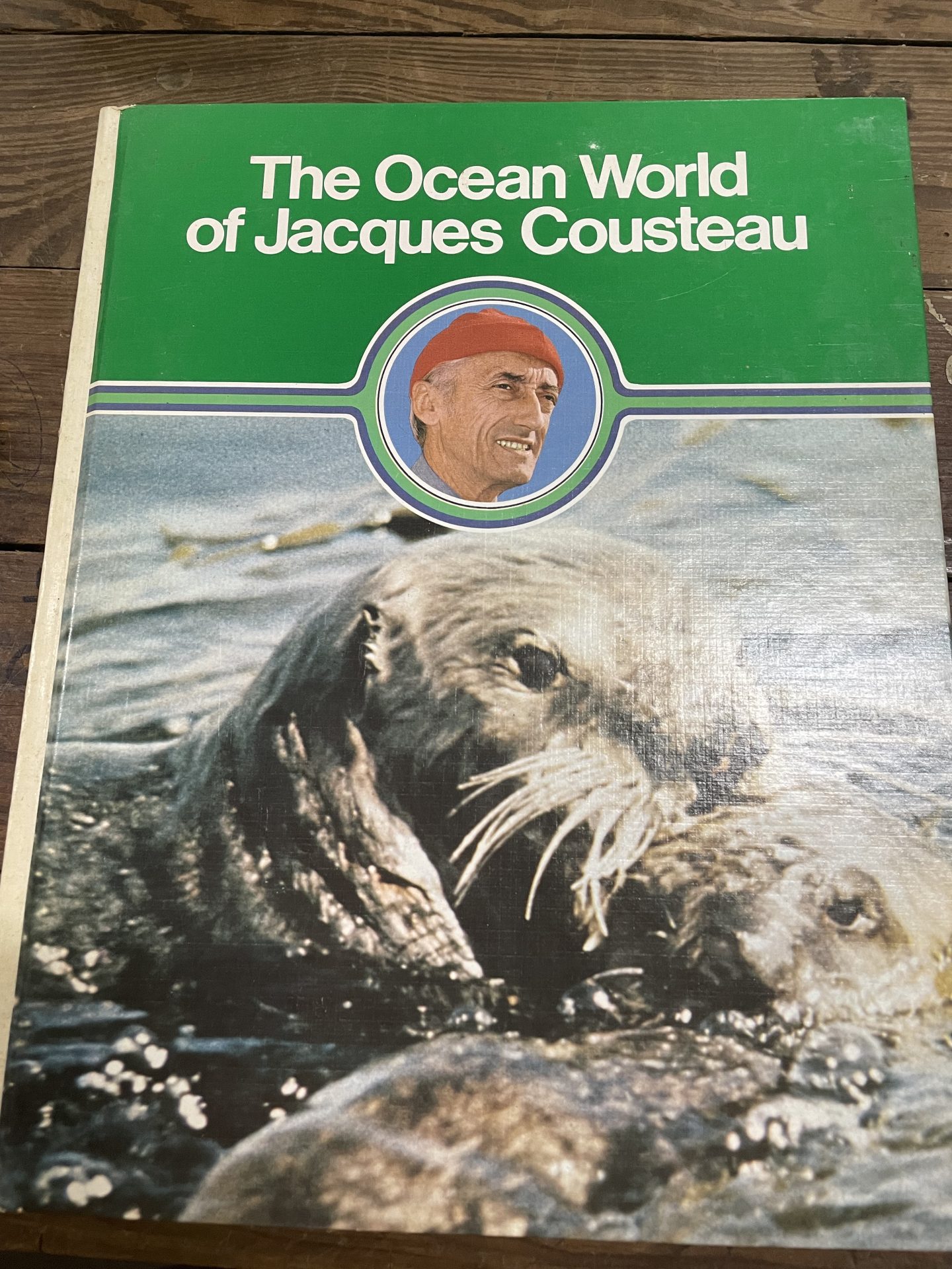 The Ocean World of Jacques Cousteau 2 - Picker Place