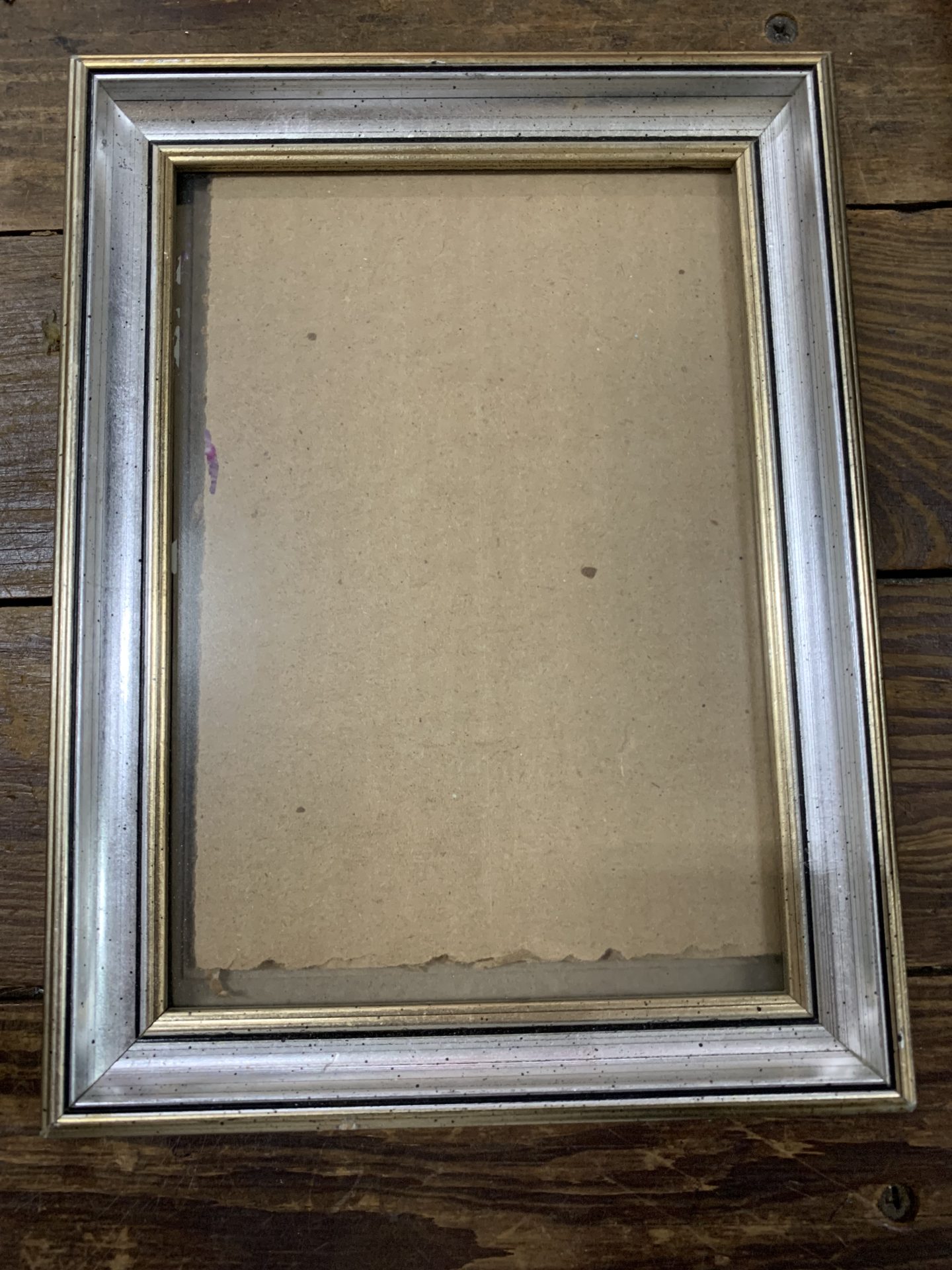 5x7 Silver & Gold Frame - Picker Place