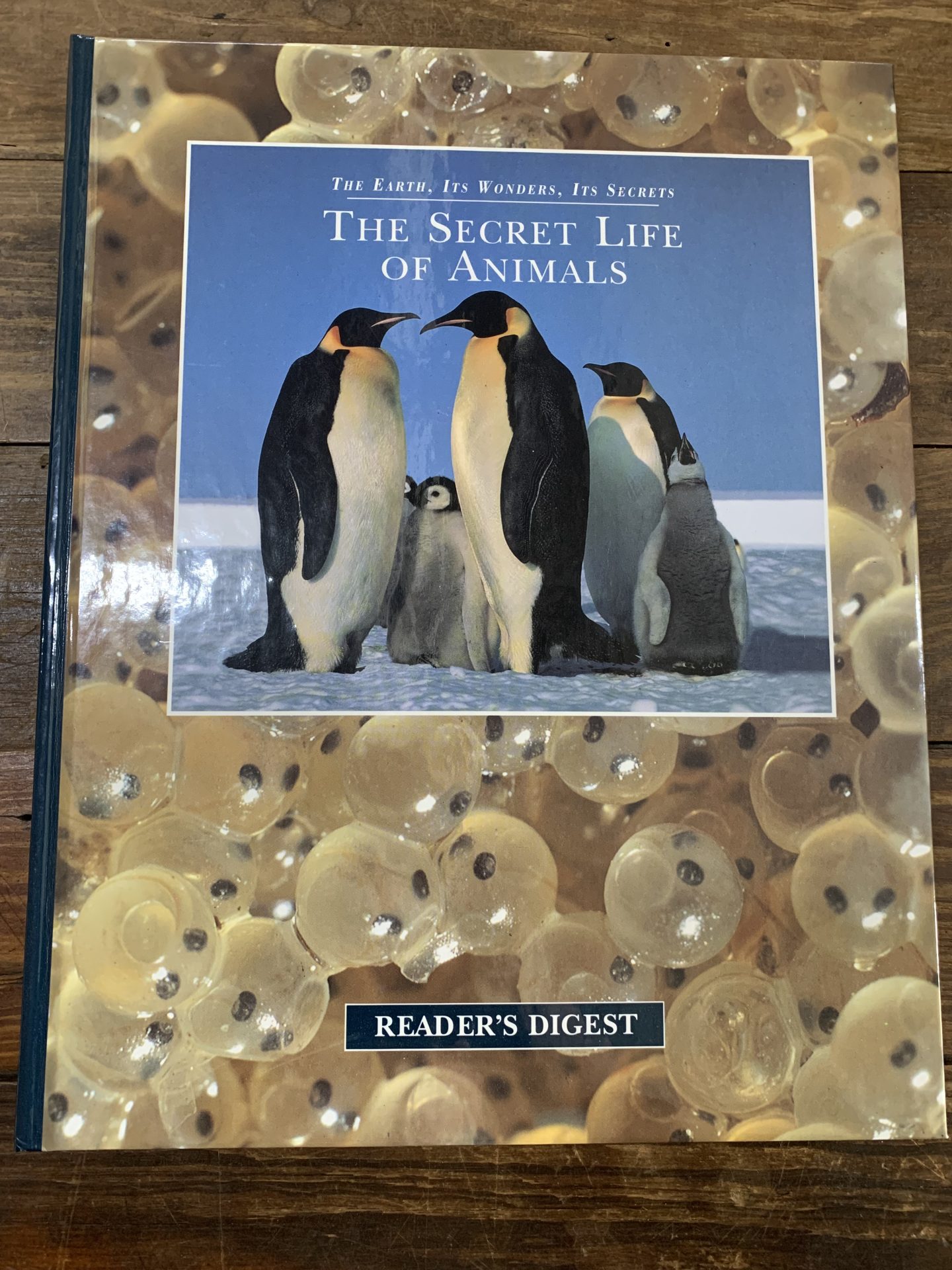 The Secret Life of Animals - Picker Place