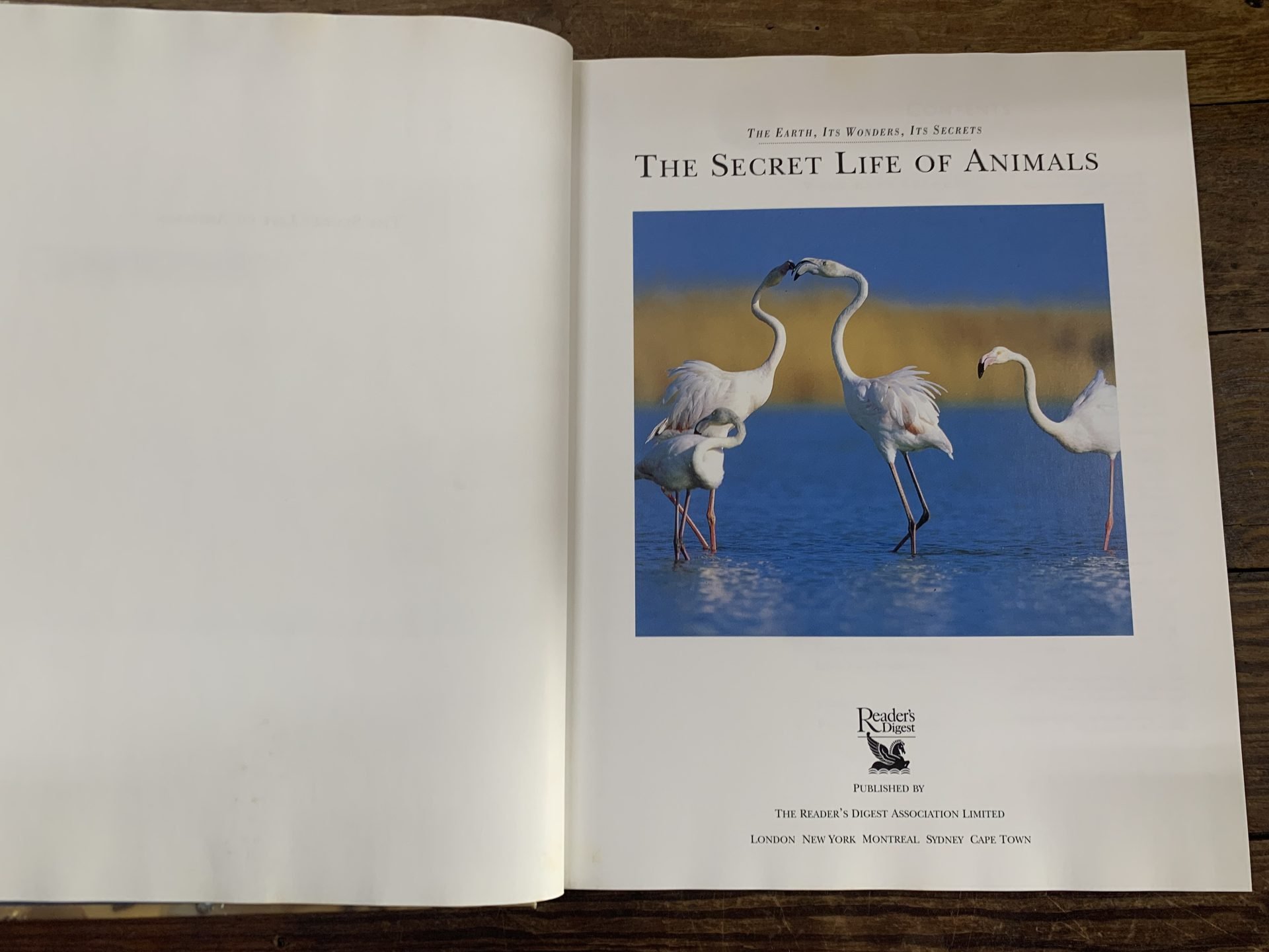 The Secret Life of Animals - Picker Place