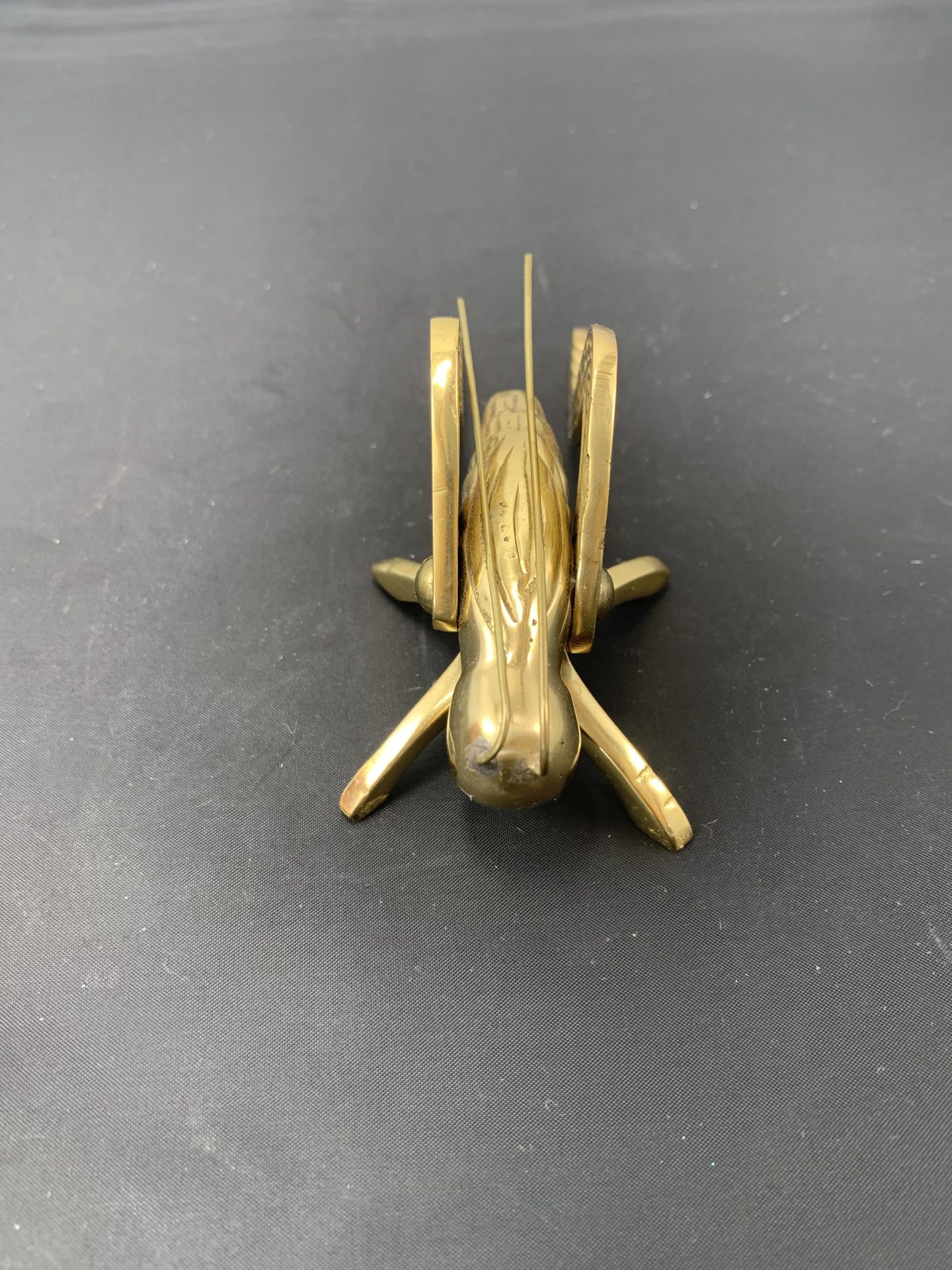 Brass Grasshopper | Picker Place