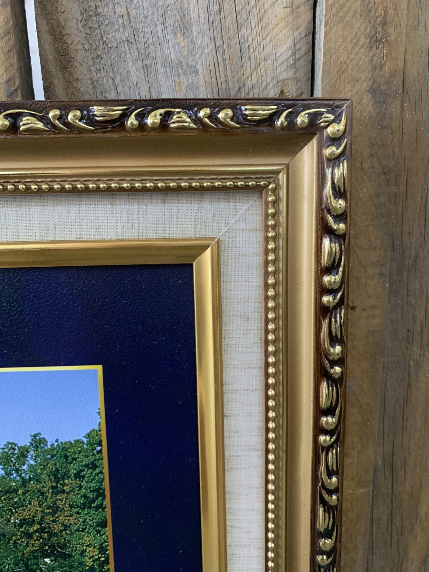 Presidential Dollar Coin Display - Picker Place