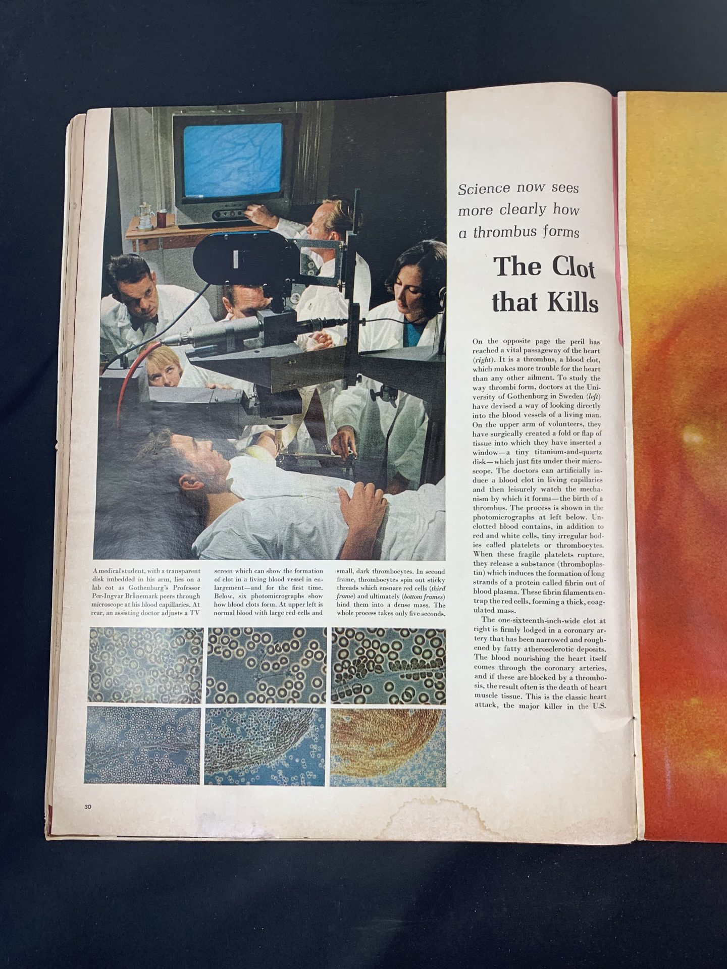 Life Magazine 1968 - Picker Place