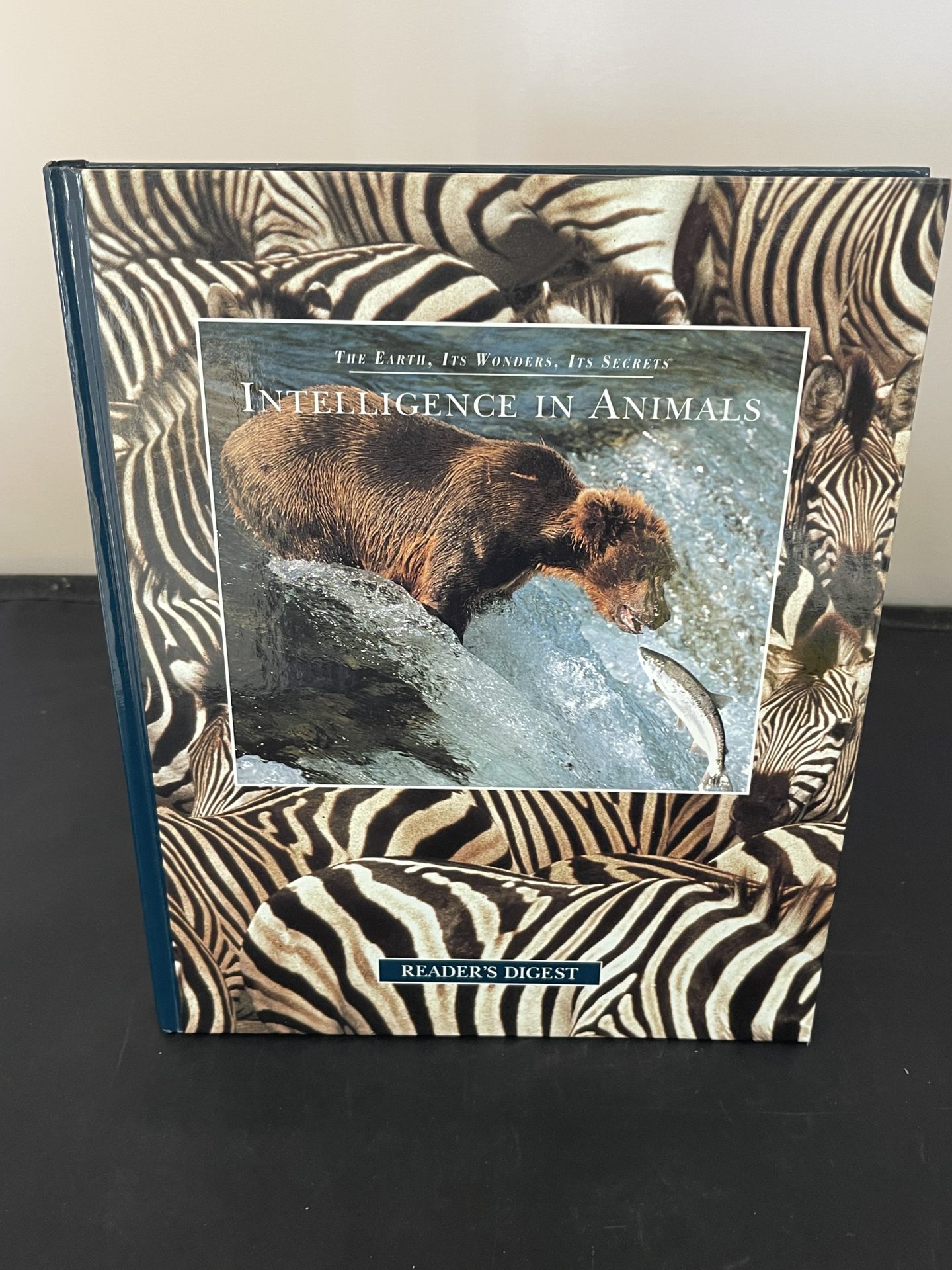 Intelligence In Animals | Picker Place