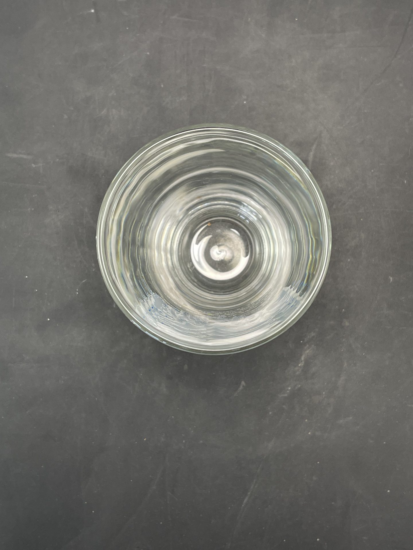 Flying Dog Beer Glass - Picker Place