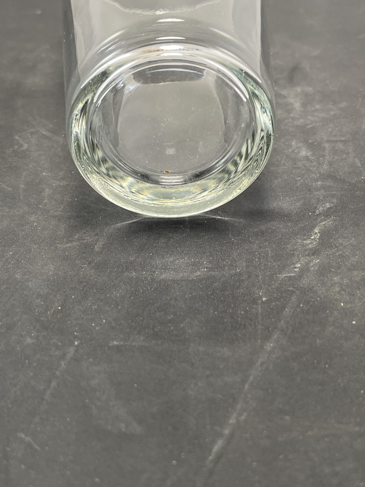 Flying Dog Beer Glass - Picker Place
