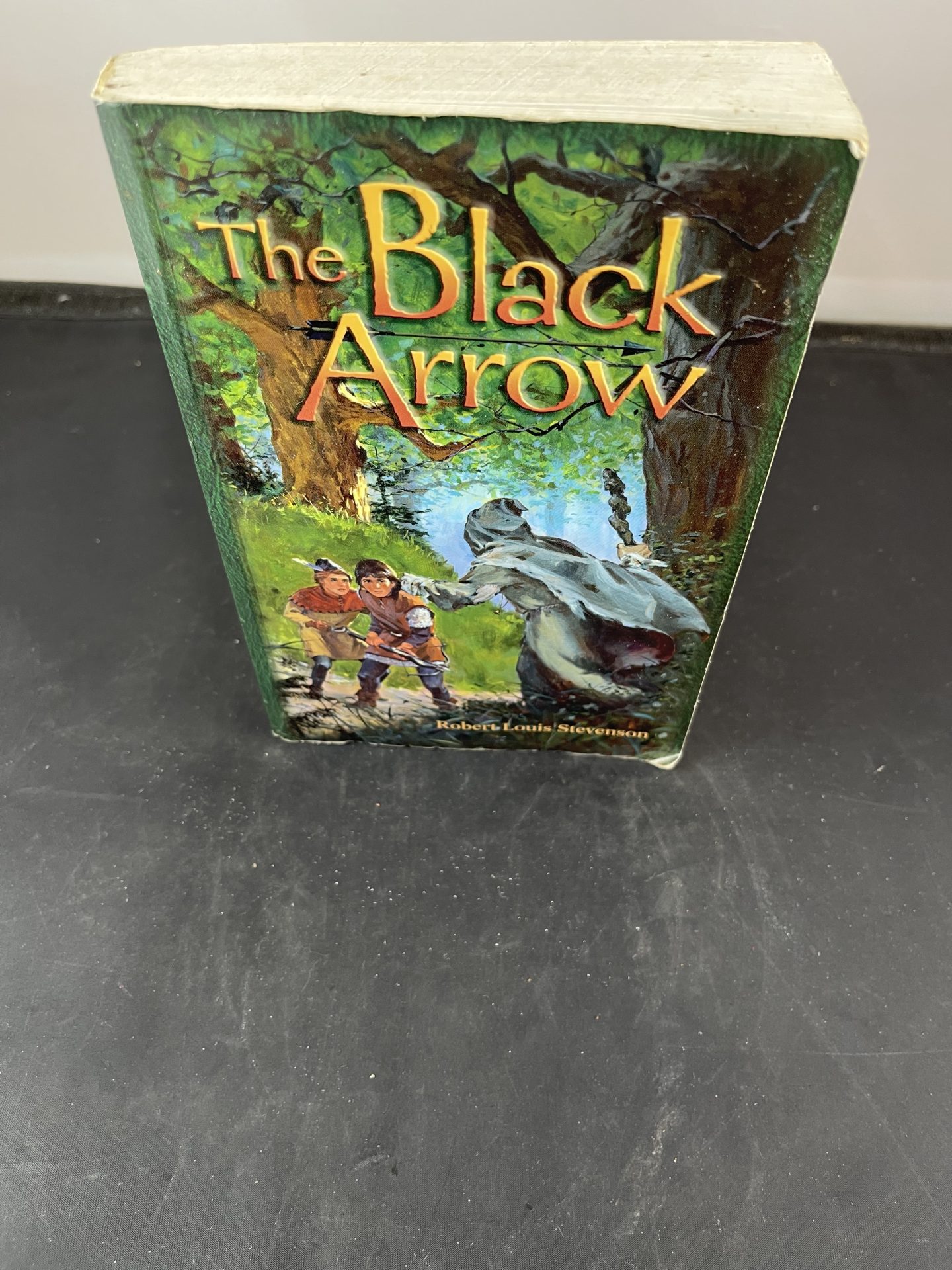 The Black Arrow Book | Picker Place
