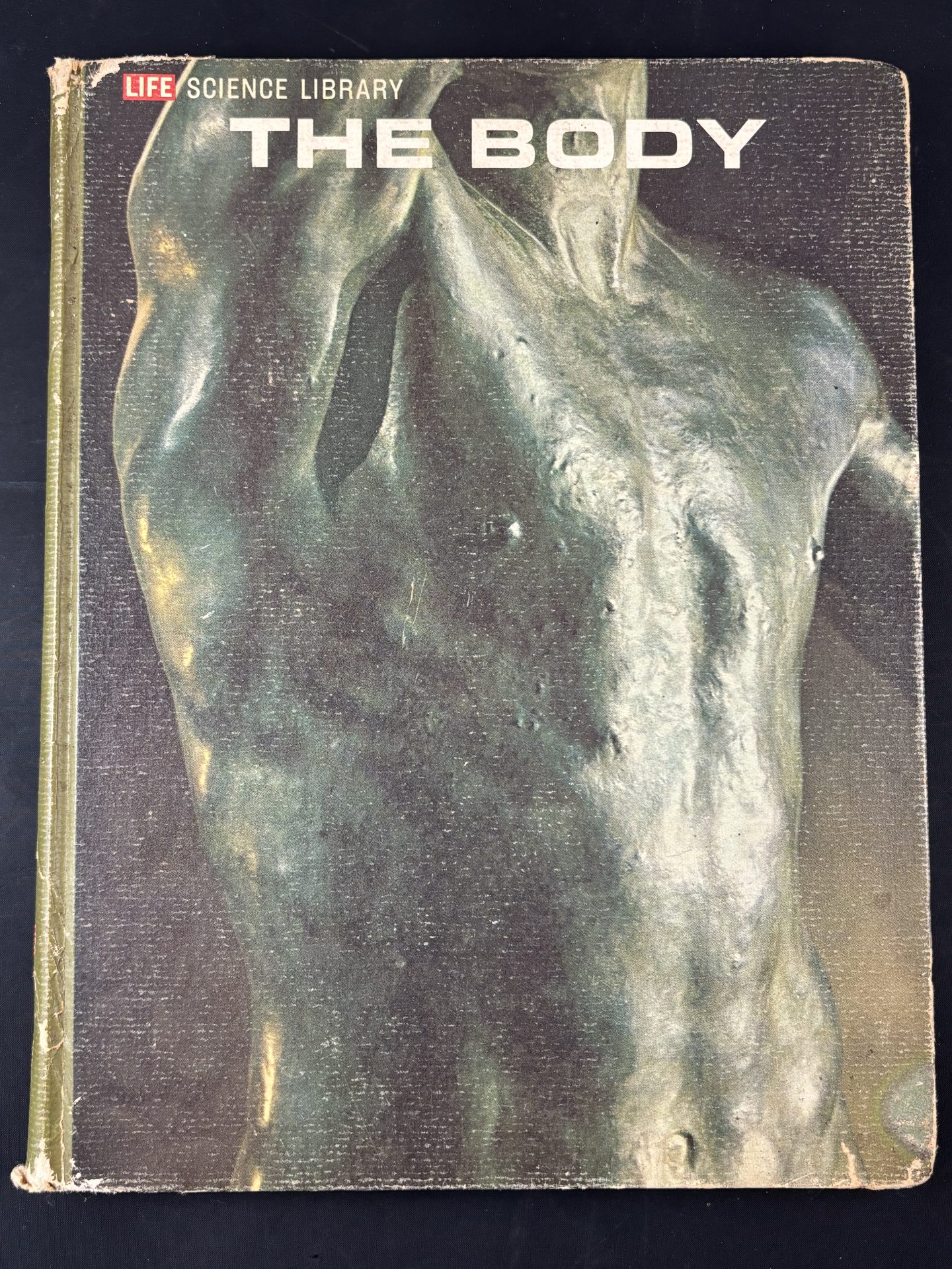 The Body Science Book - Picker Place