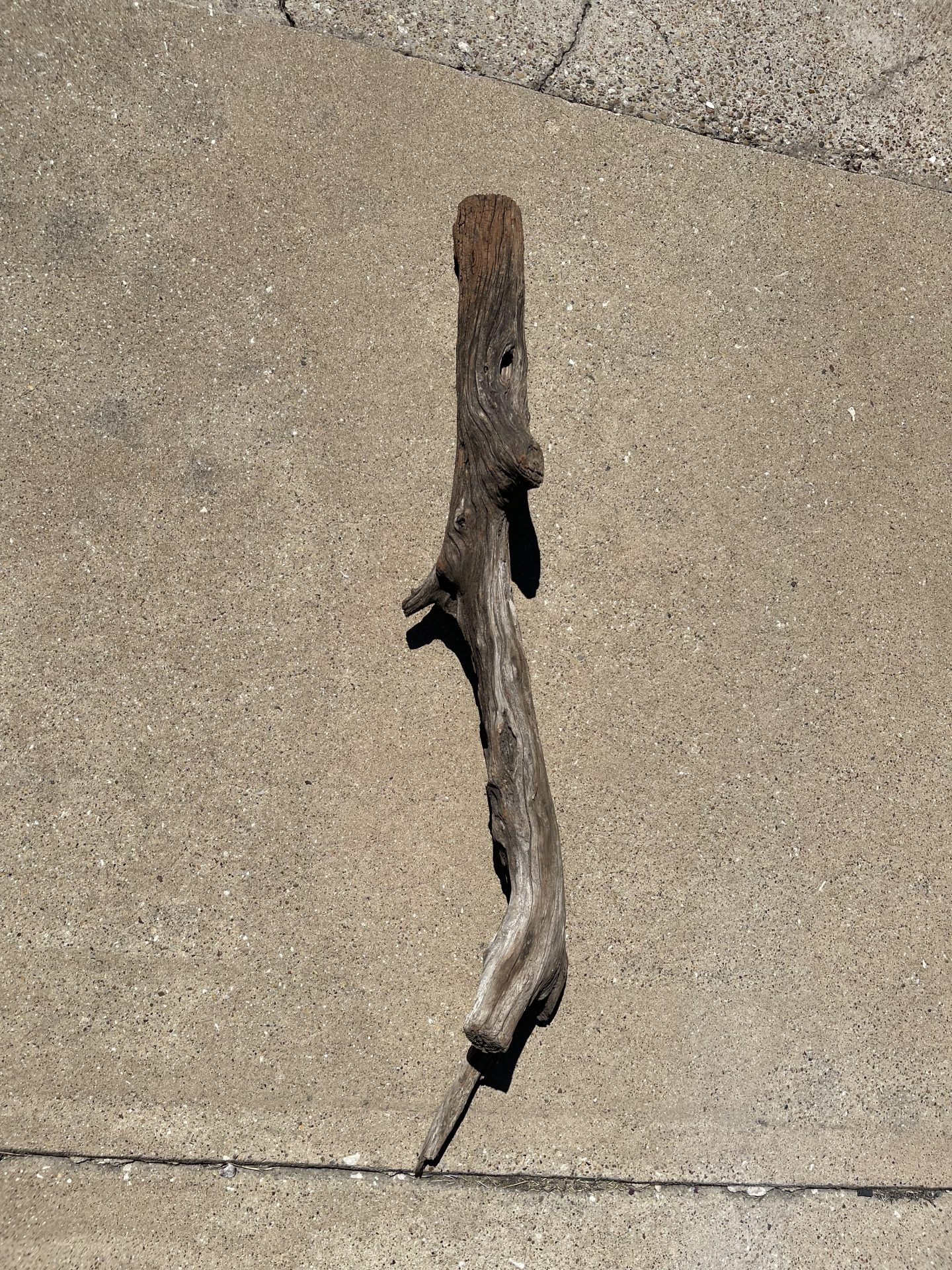 FL Drift Wood @DFW - Picker Place