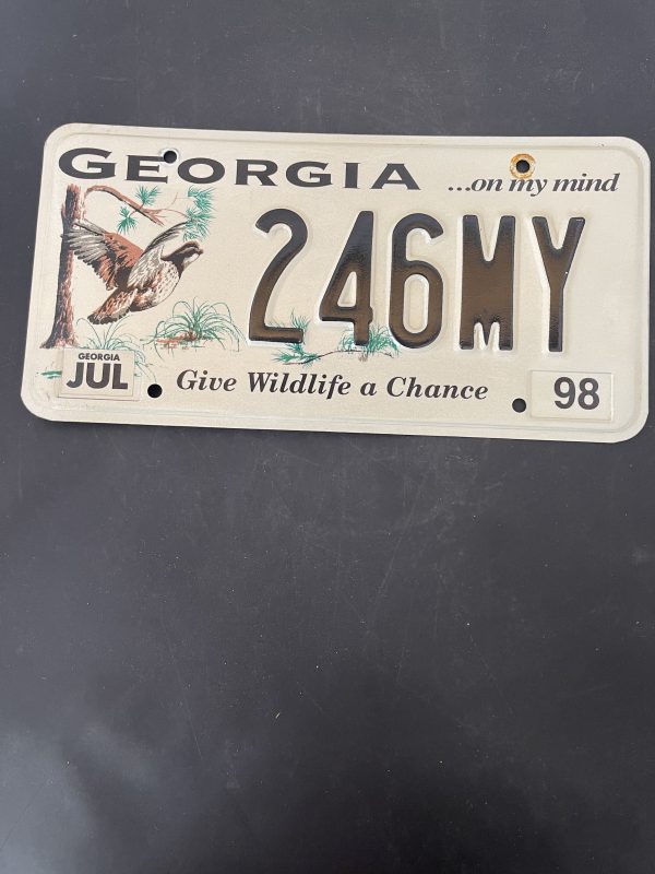 Georgia On My Mind License Plate | Picker Place