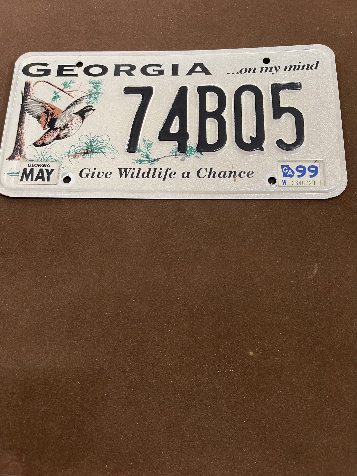 Georgia On My Mind License Plate - Picker Place