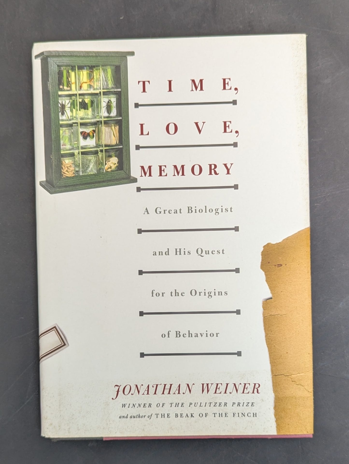 Time. Love, Memory Book - Picker Place