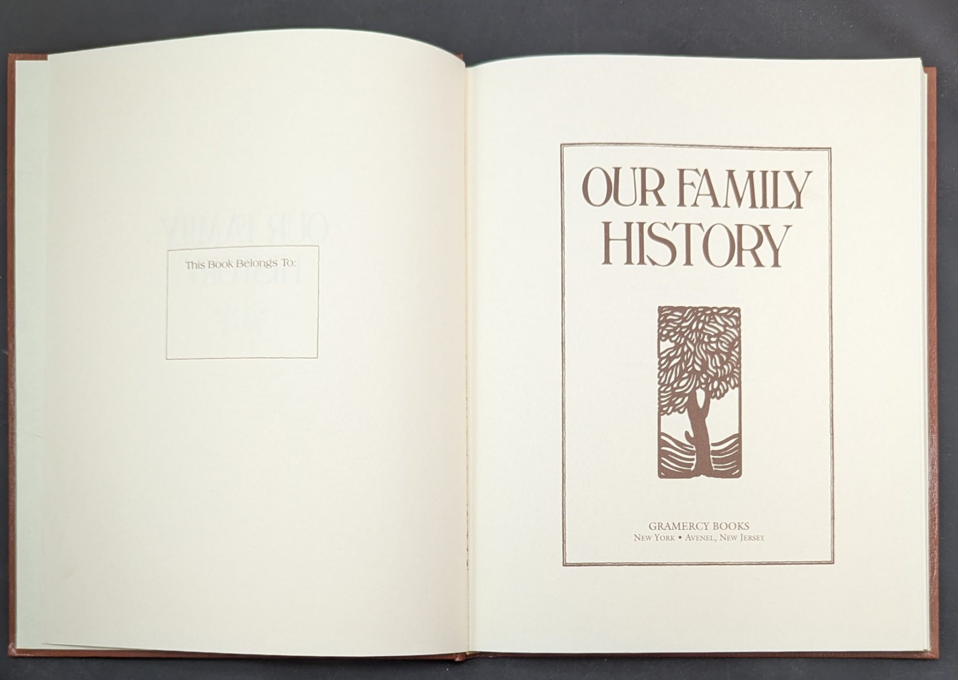 Our Family History Book - Picker Place