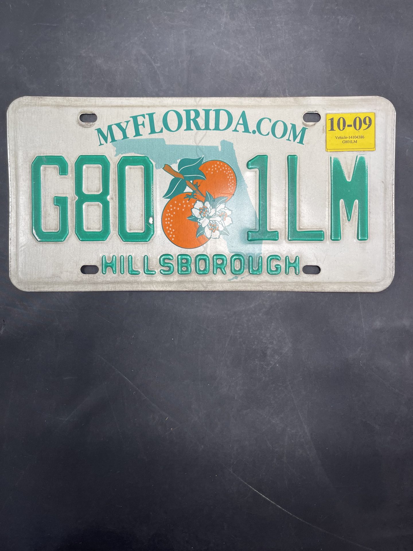 09 FL Green Letters License Plate - Picker Place