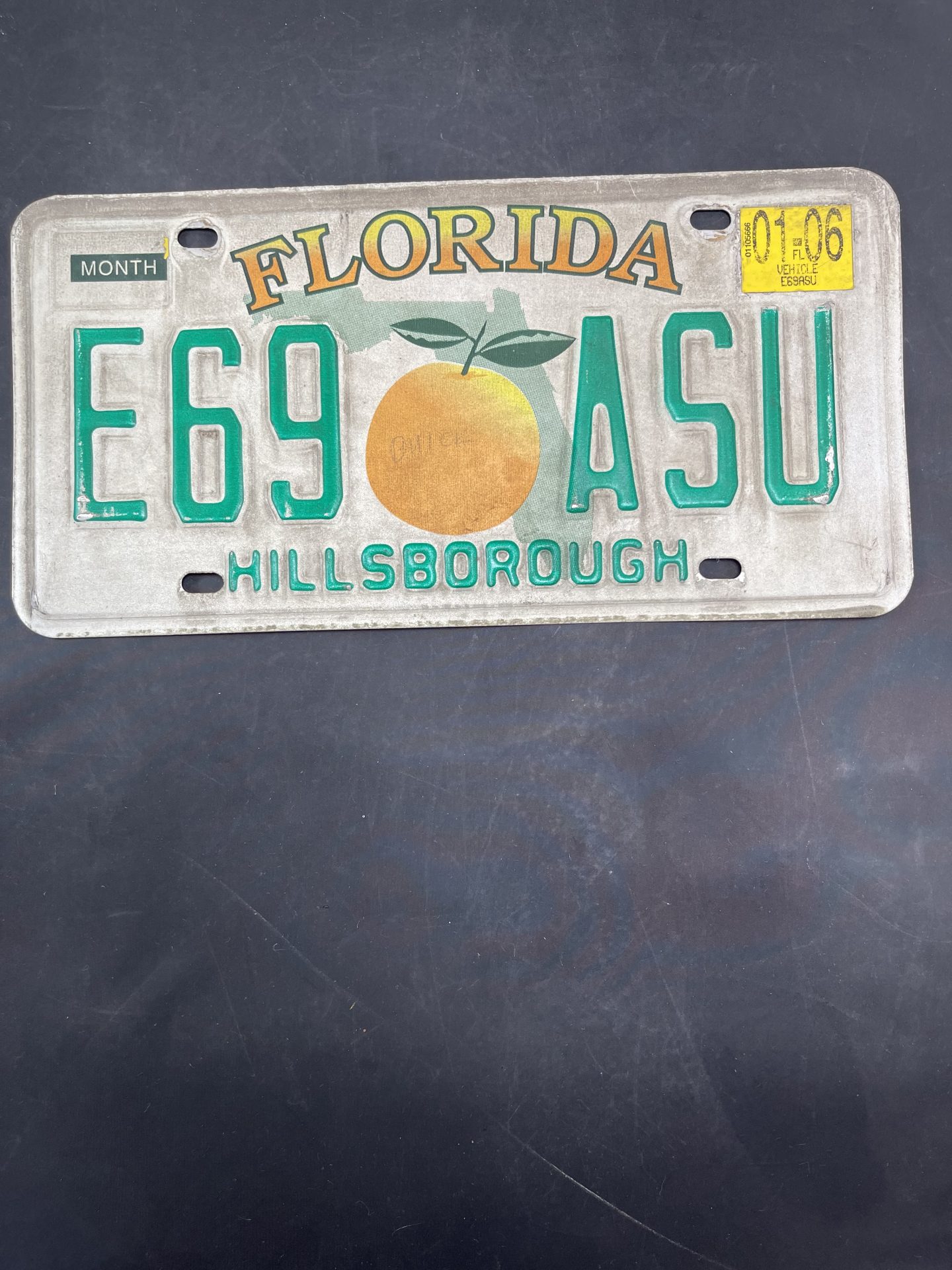 06 FL Green Letters License Plate - Picker Place