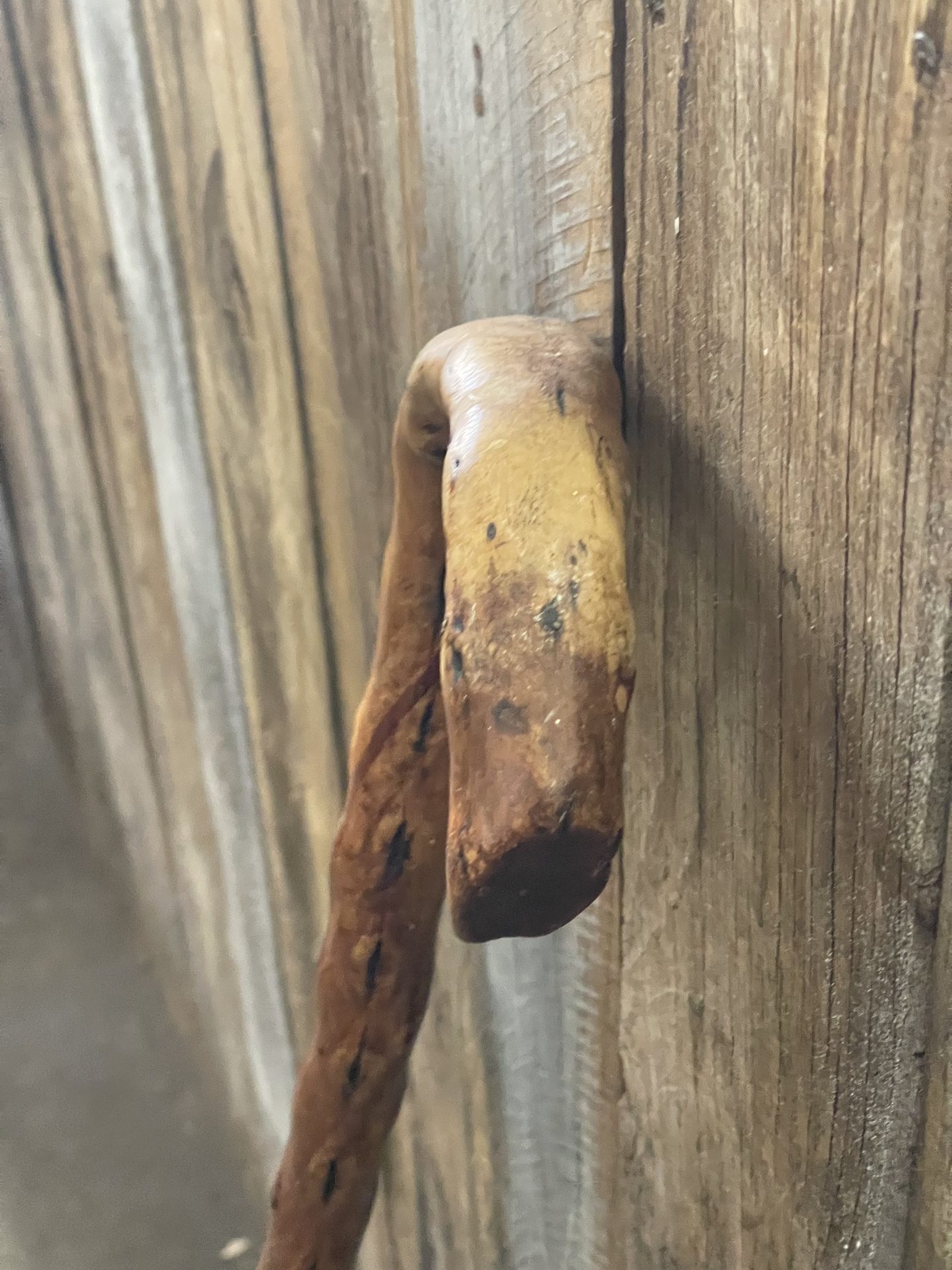 Natural Knotted Walking Cane - Picker Place