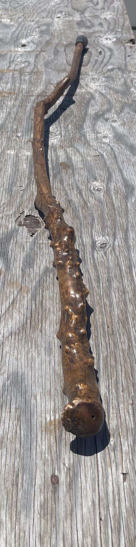 Wooden Knotted Walking Stick - Picker Place