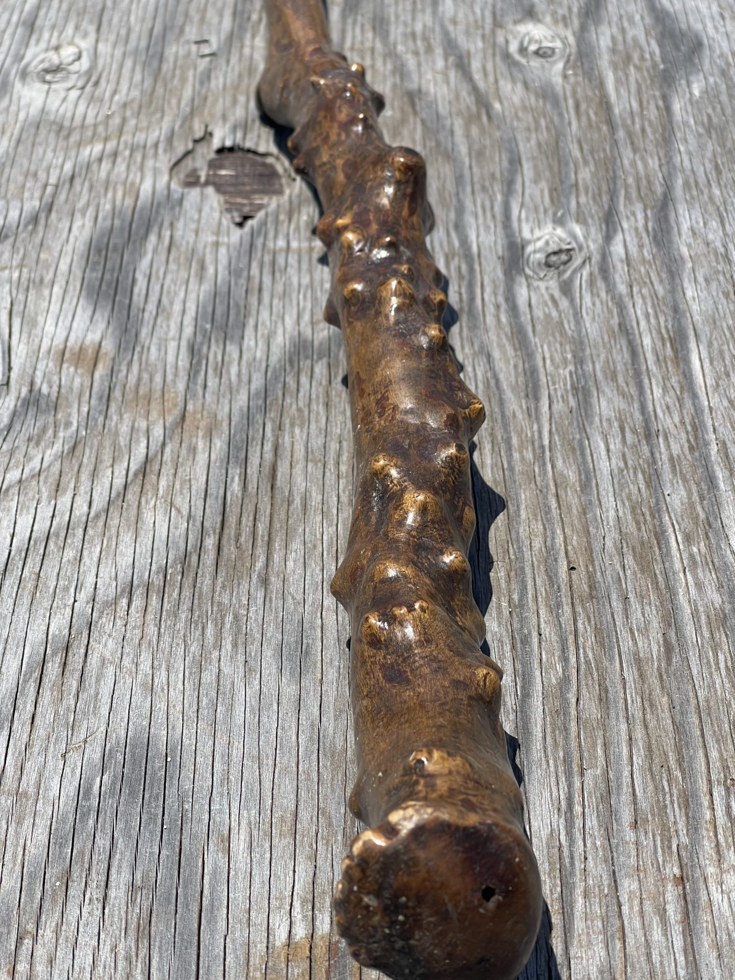 Wooden Knotted Walking Stick - Picker Place