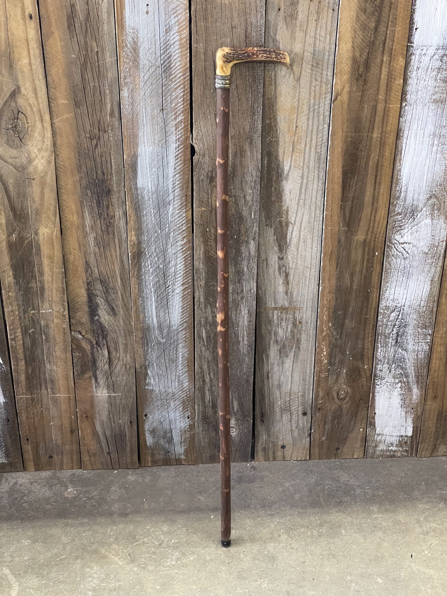 20th Century Hunting Cane - Picker Place