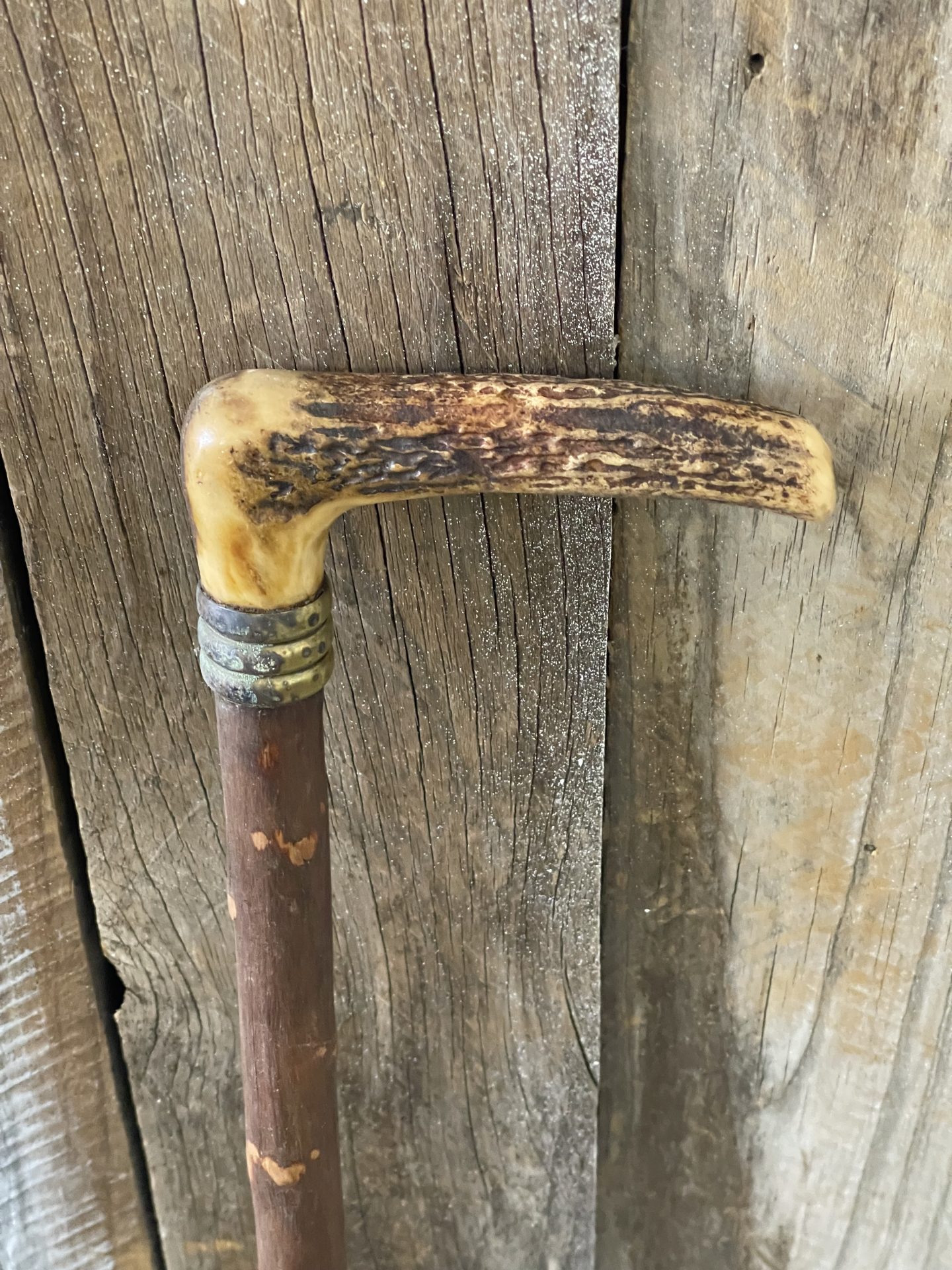20th Century Hunting Cane - Picker Place