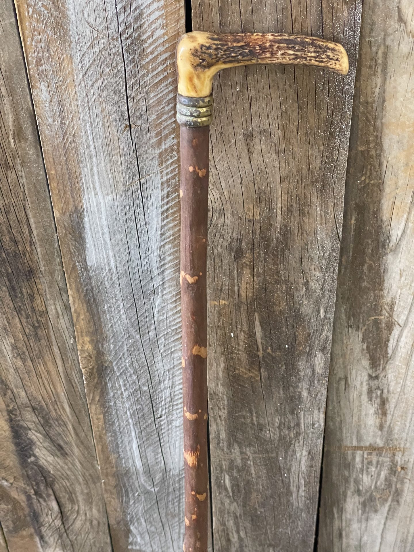 20th Century Hunting Cane - Picker Place