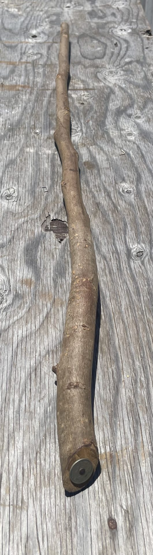 Rustic Natural Wood Walking Stick - Picker Place