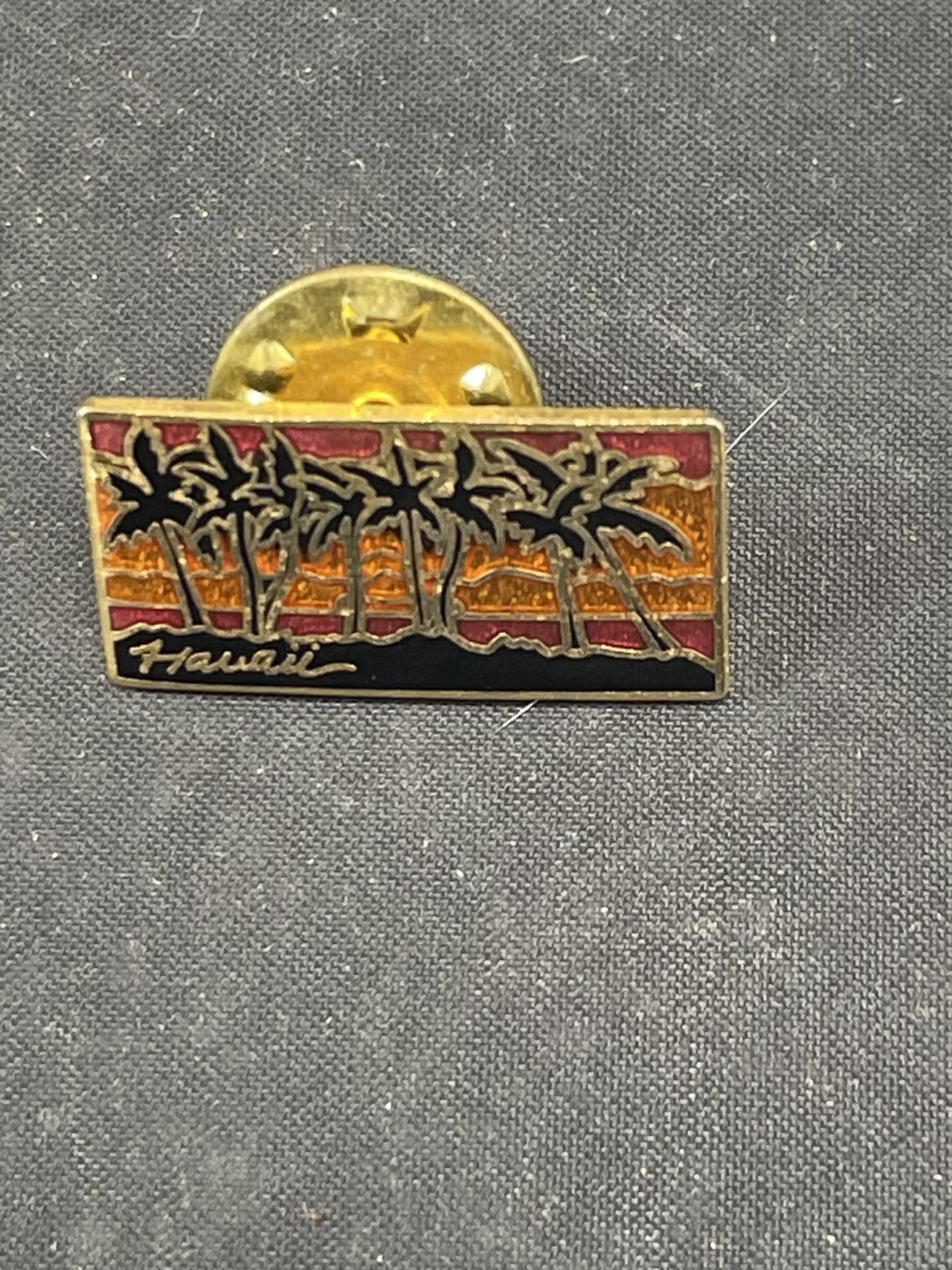 Hawaii Lapel Pin - Picker Place