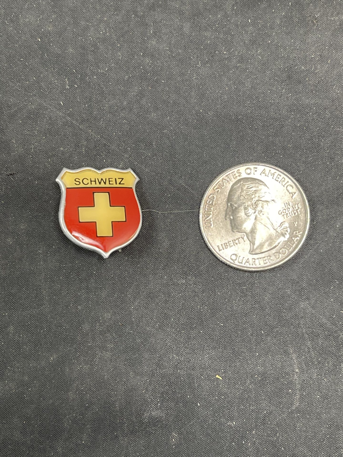 Schweiz Lapel Pin - Picker Place