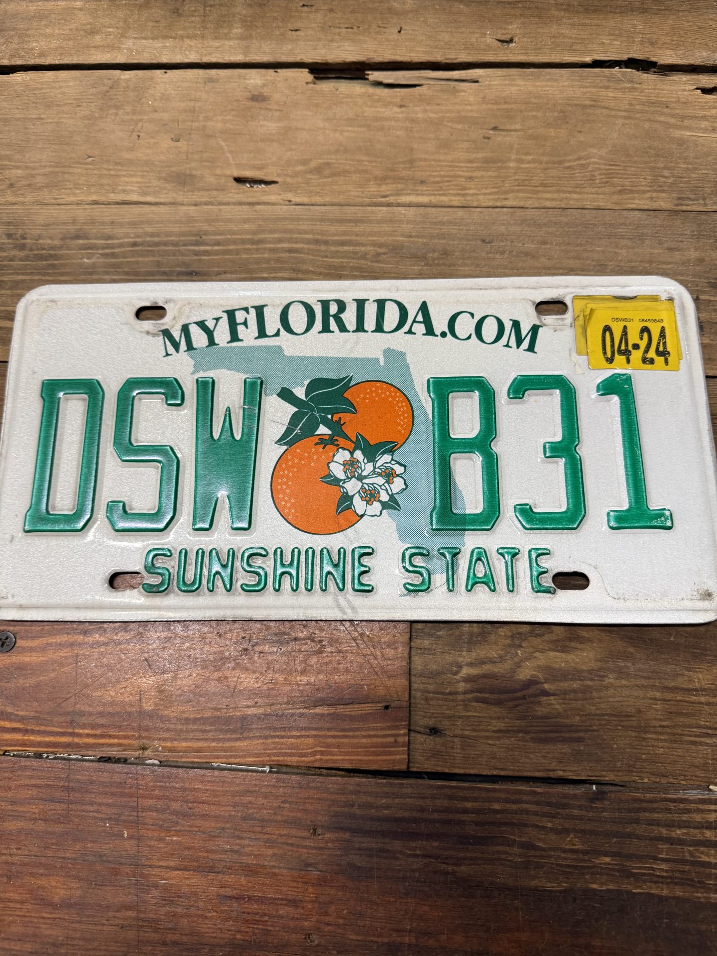 FL License Plate DSW B31 - Picker Place